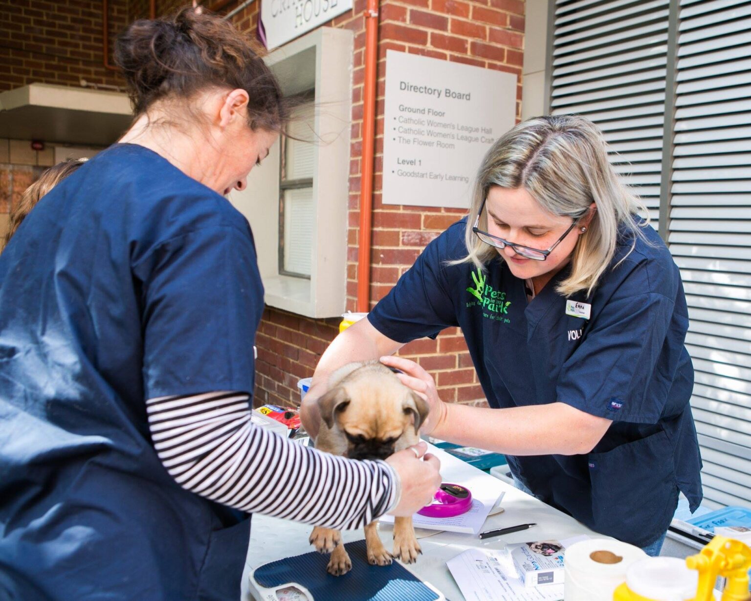 Looking after pets helps to look after people - StreetSmart Australia